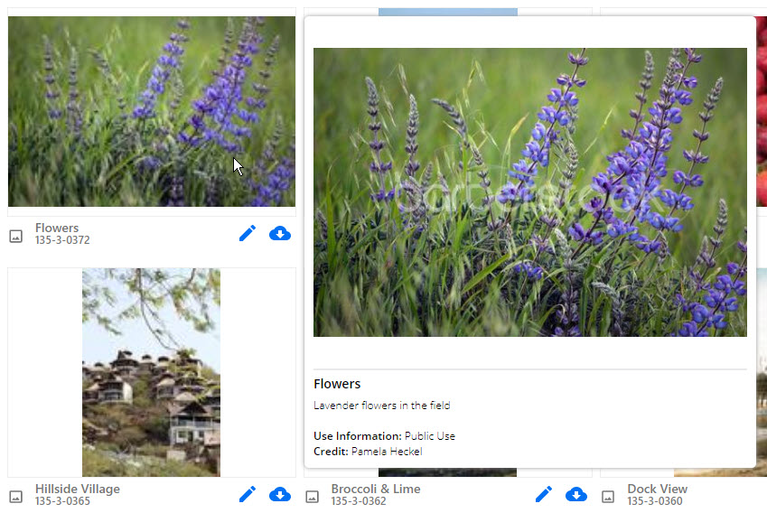 Asset Metadata Overview & Best Practices – Simpleview Knowledgebase