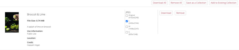 Asset Metadata Overview & Best Practices – Simpleview Knowledgebase
