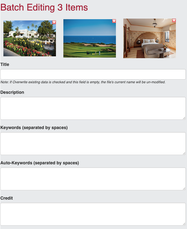 Asset Metadata Overview And Best Practices Simpleview Knowledgebase